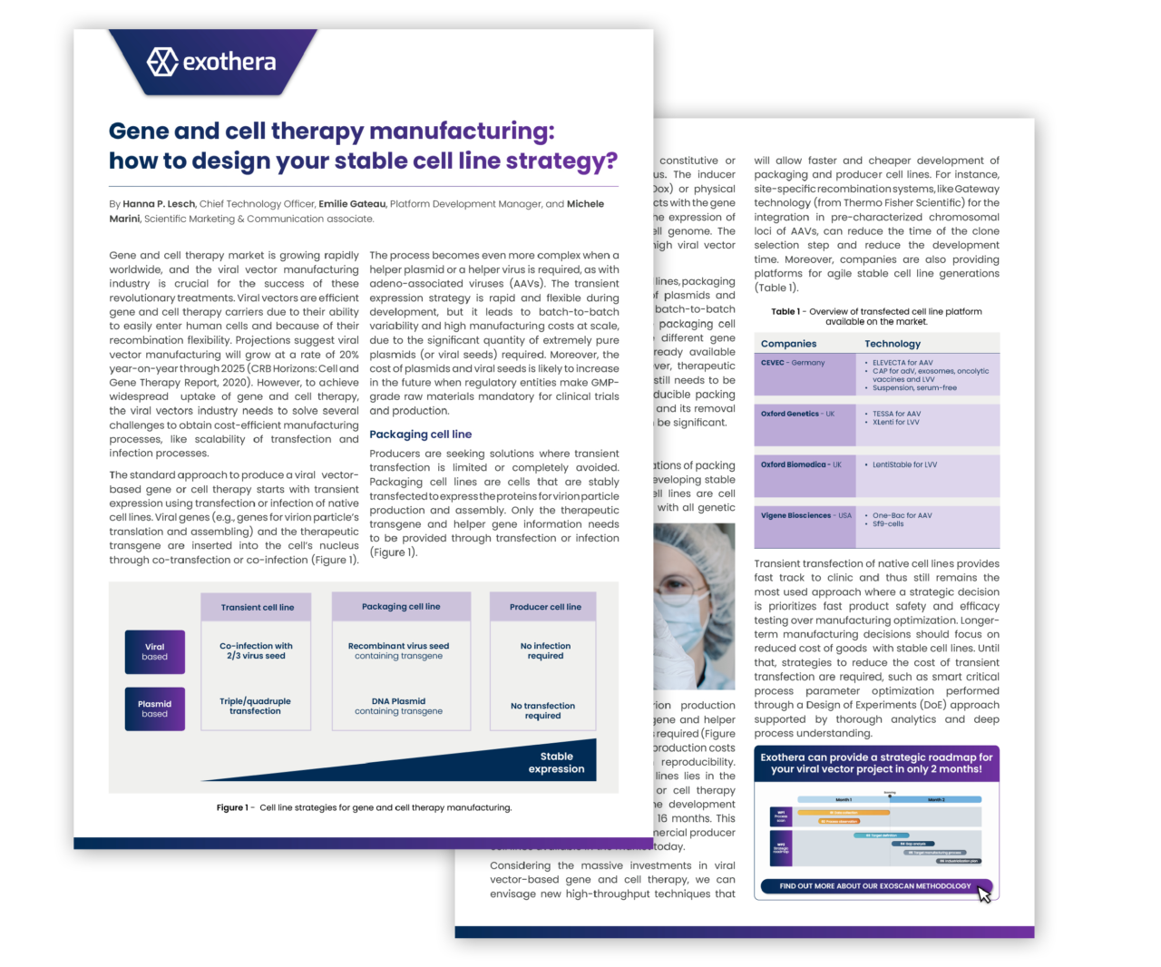 How to Design Your Stable Cell Line Strategy - Exothera