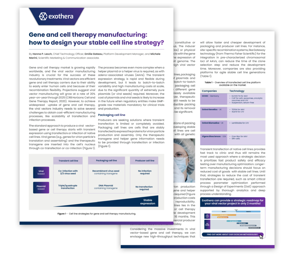 How to Design Your Stable Cell Line Strategy - Exothera